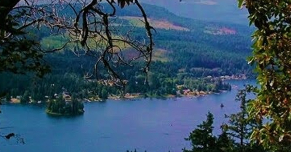 Order tickets for the 50/50 Raffle | Raffle Nexus